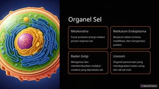 Fisiologi-Sel-Manusia untuk kesehatan semua | PPT
