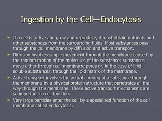 Cell Physiology | PPT