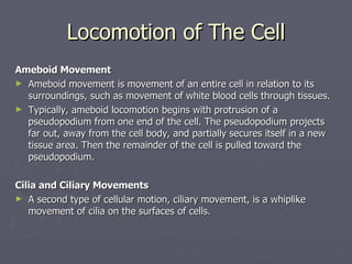 Cell Physiology | PPT