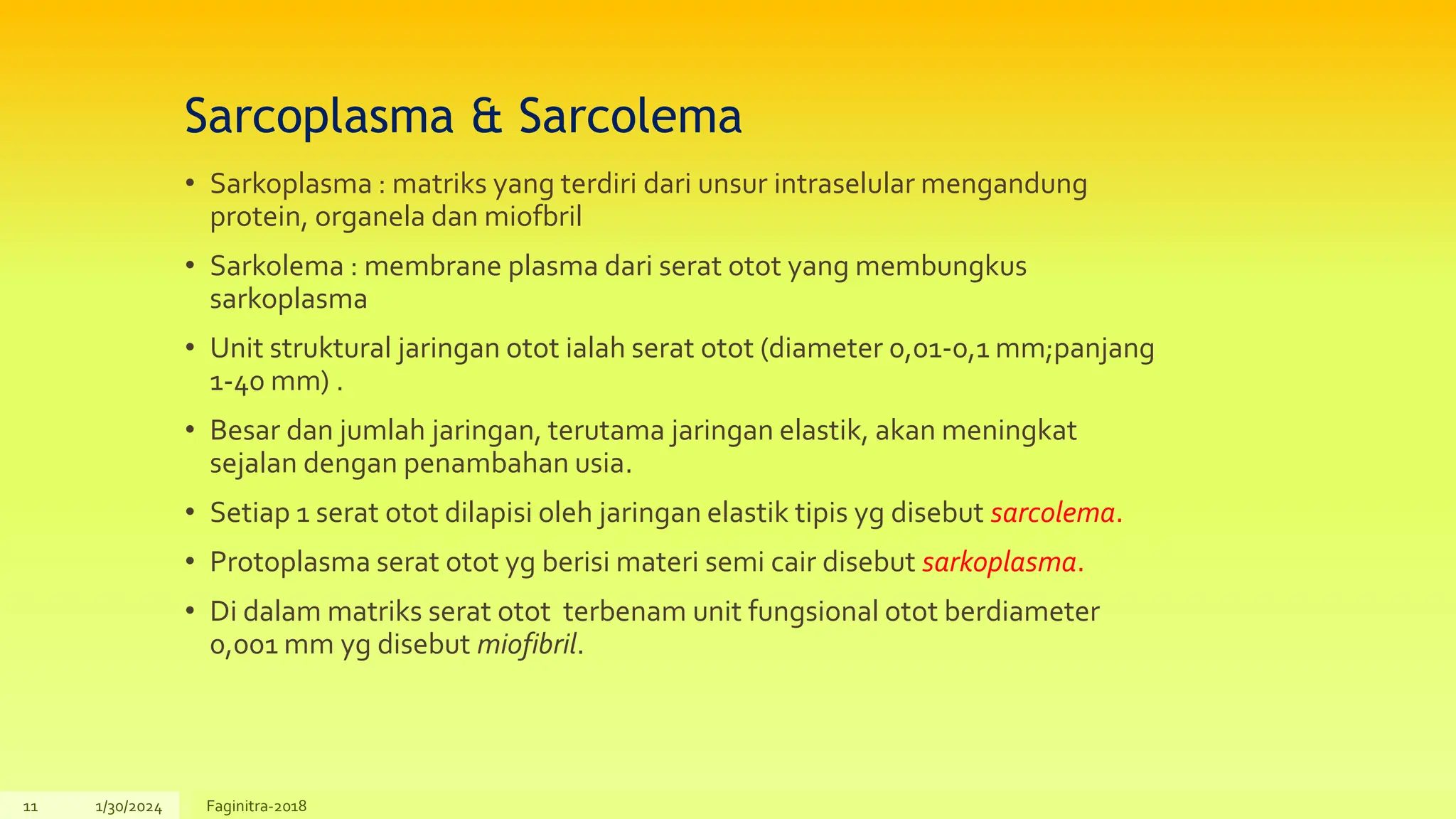 FISIOLOGI 6 - Sistem Muscular (otot).pptx