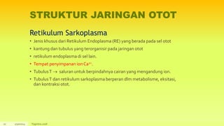 FISIOLOGI 6 - Sistem Muscular (otot).pptx