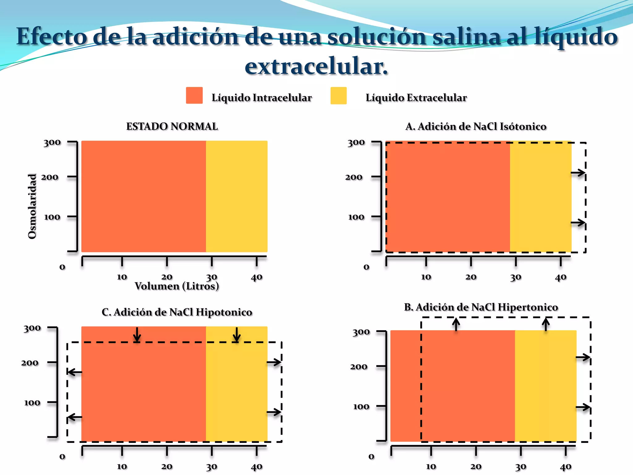 Fisiologia Regulacion De Los Liquidos Corporales Pptx