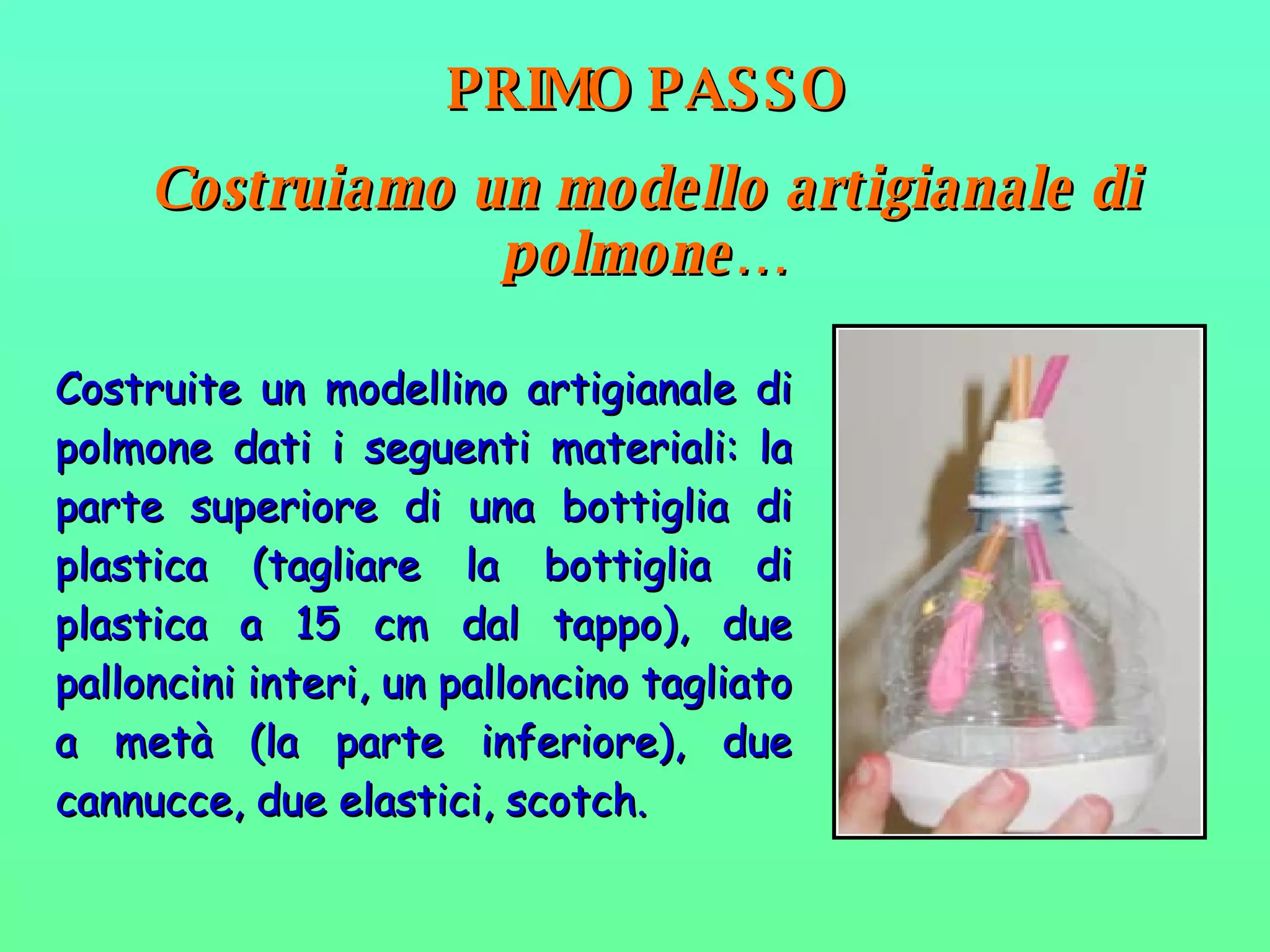Fisiologia | PPT