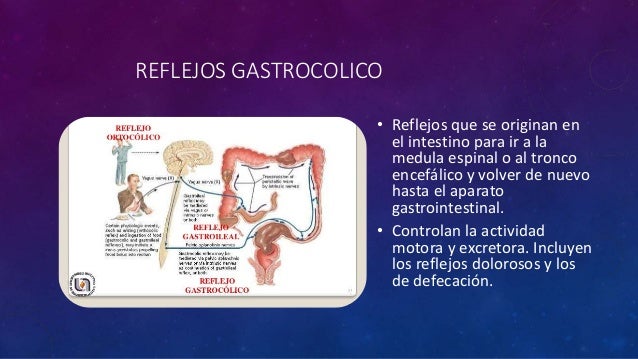 FISIOLOGIA
