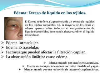 Fisiologia | PPTX