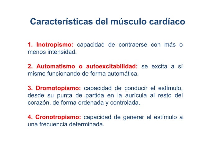 Fisiologia anatomia corazon