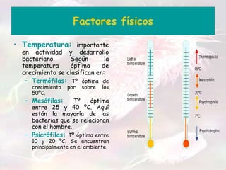 FISIOLOGÍA BACTERIANA | PPTX