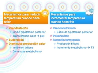 Temperatura Corporal, Regulacion De Temperatura Y Fiebre | PPTX
