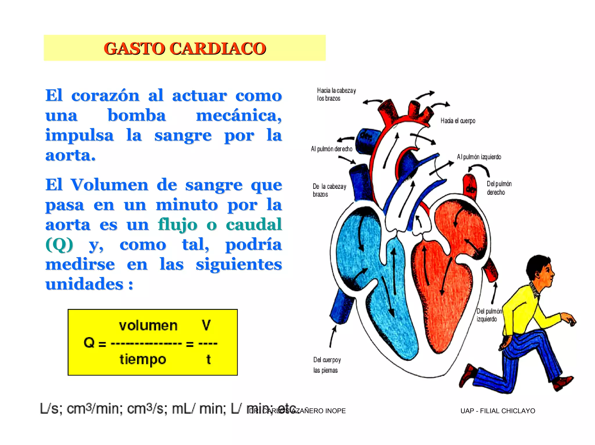 FISIOLOGIA CARDIOVASCULAR. FLUJO SANGUINEO | PPT