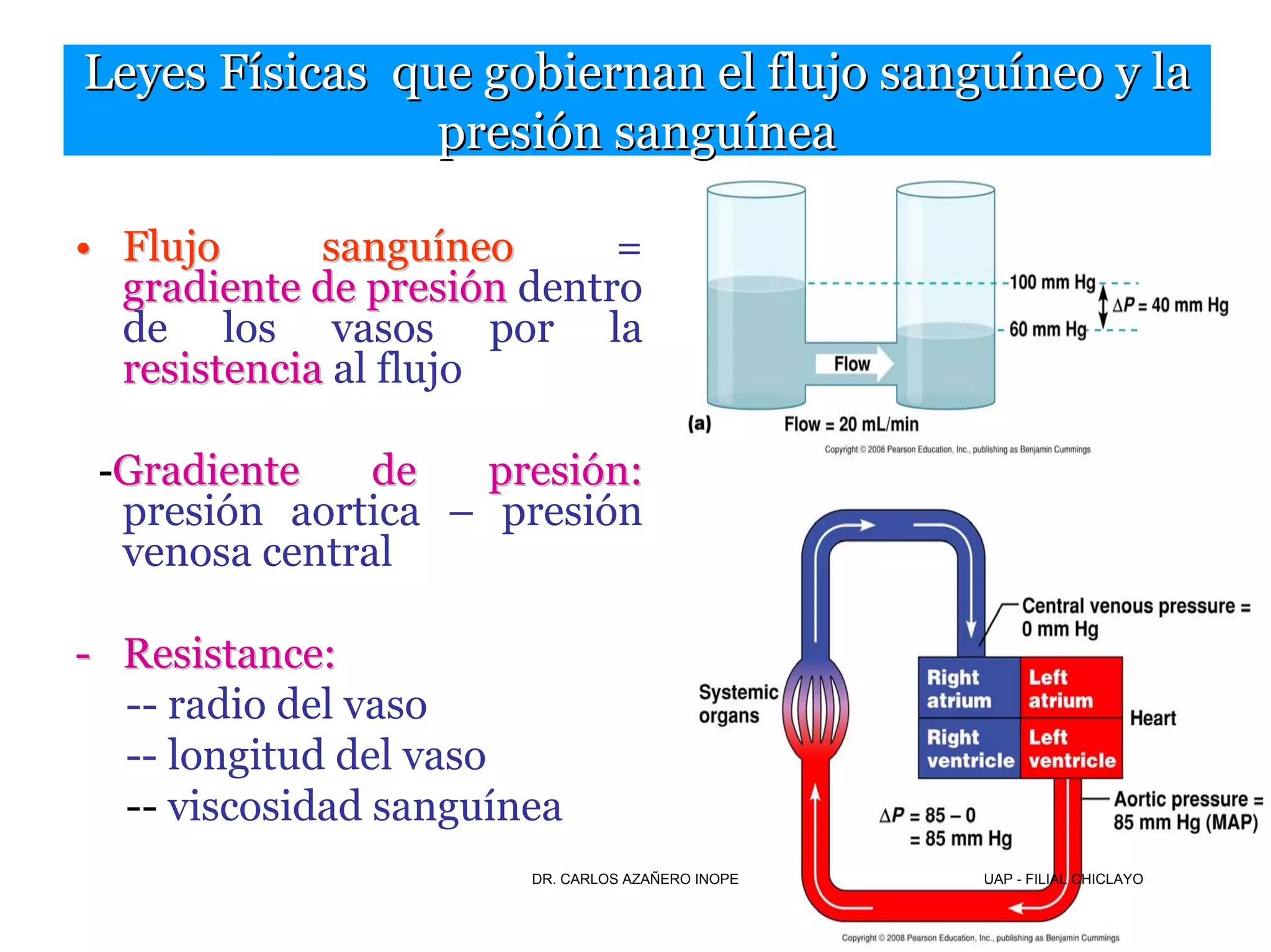 FISIOLOGIA CARDIOVASCULAR. FLUJO SANGUINEO | PPT