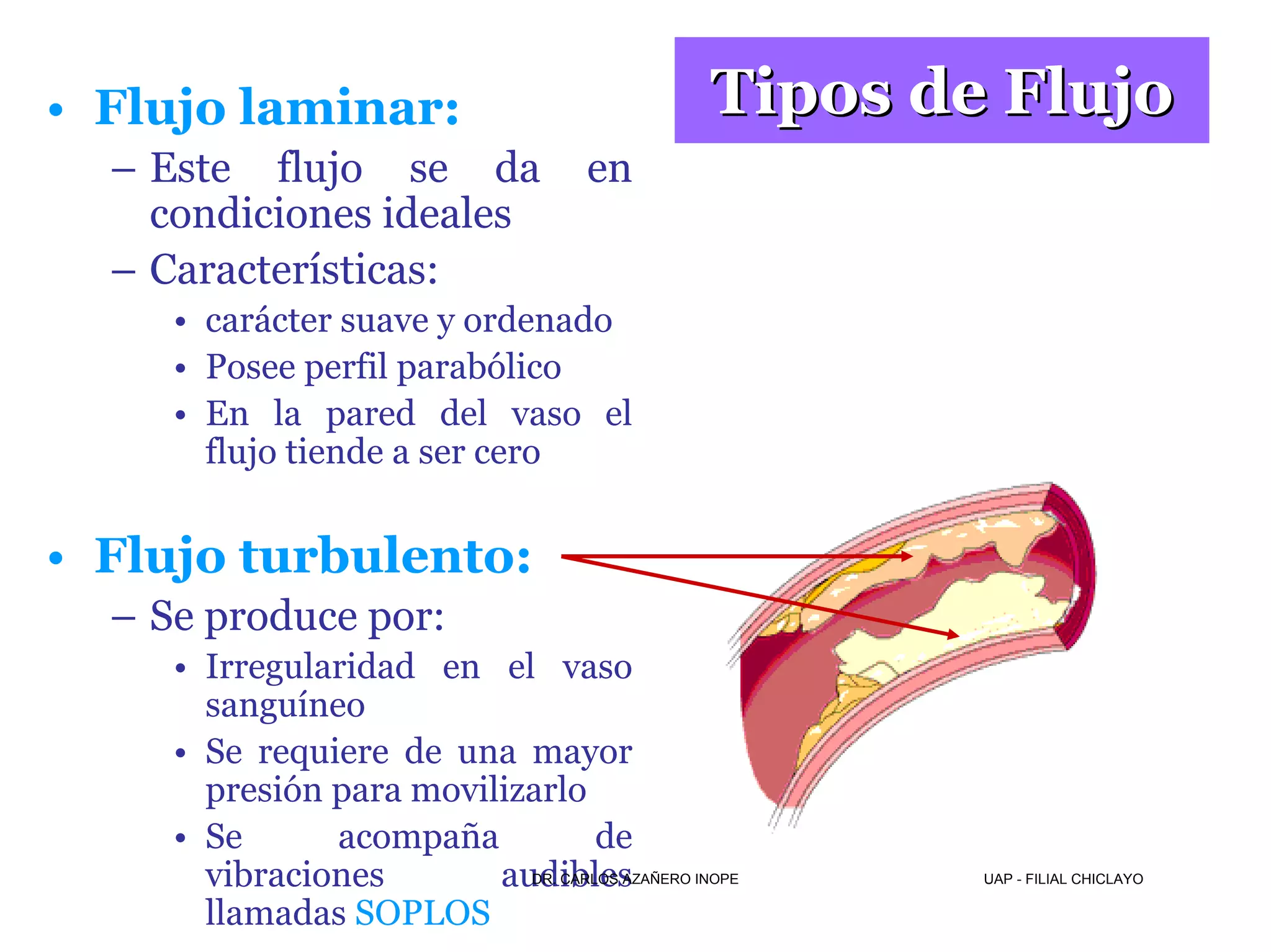FISIOLOGIA CARDIOVASCULAR. FLUJO SANGUINEO | PPT