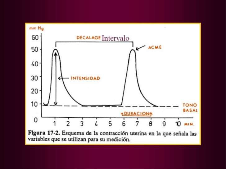 Fisiologia De La Contraccion Uterina