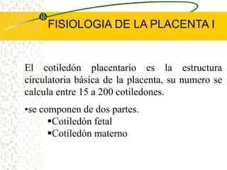 fisiologia-de-la-placenta- incluye su fisiología | PPT