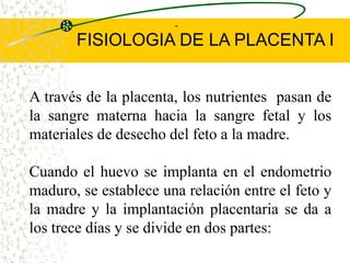fisiologia-de-la-placenta- incluye su fisiología | PPT
