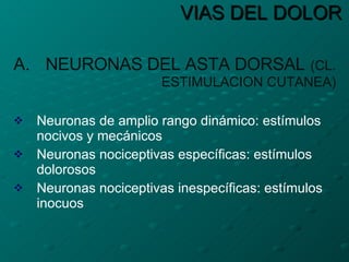 Fisiologia Del Dolor | PPT