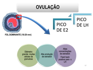 Fisiologia-do-ciclo-estral.pdf.slides.pdf