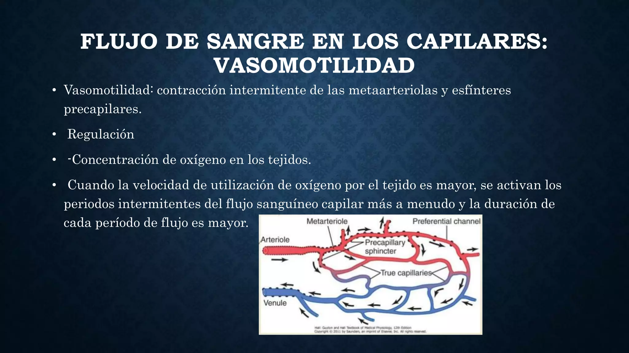 La microcirculación y el sistema linfático: intercambio de liquido ...