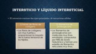La microcirculación y el sistema linfático: intercambio de liquido ...