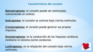 fisiologia, anatomia y electrocardiograma 2 clases.pptx