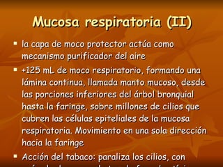 Fisiologia Aparato Respiratorio | PPT