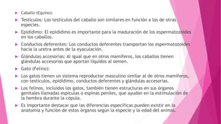 FISIOLOGIA APARATO REPRODUCTOR GRUPO 4.pptx