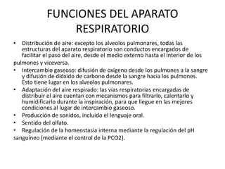FISIOLOGIA APARATO RESPIRATORIO. BREVE RESÚMEN.... | PPTX