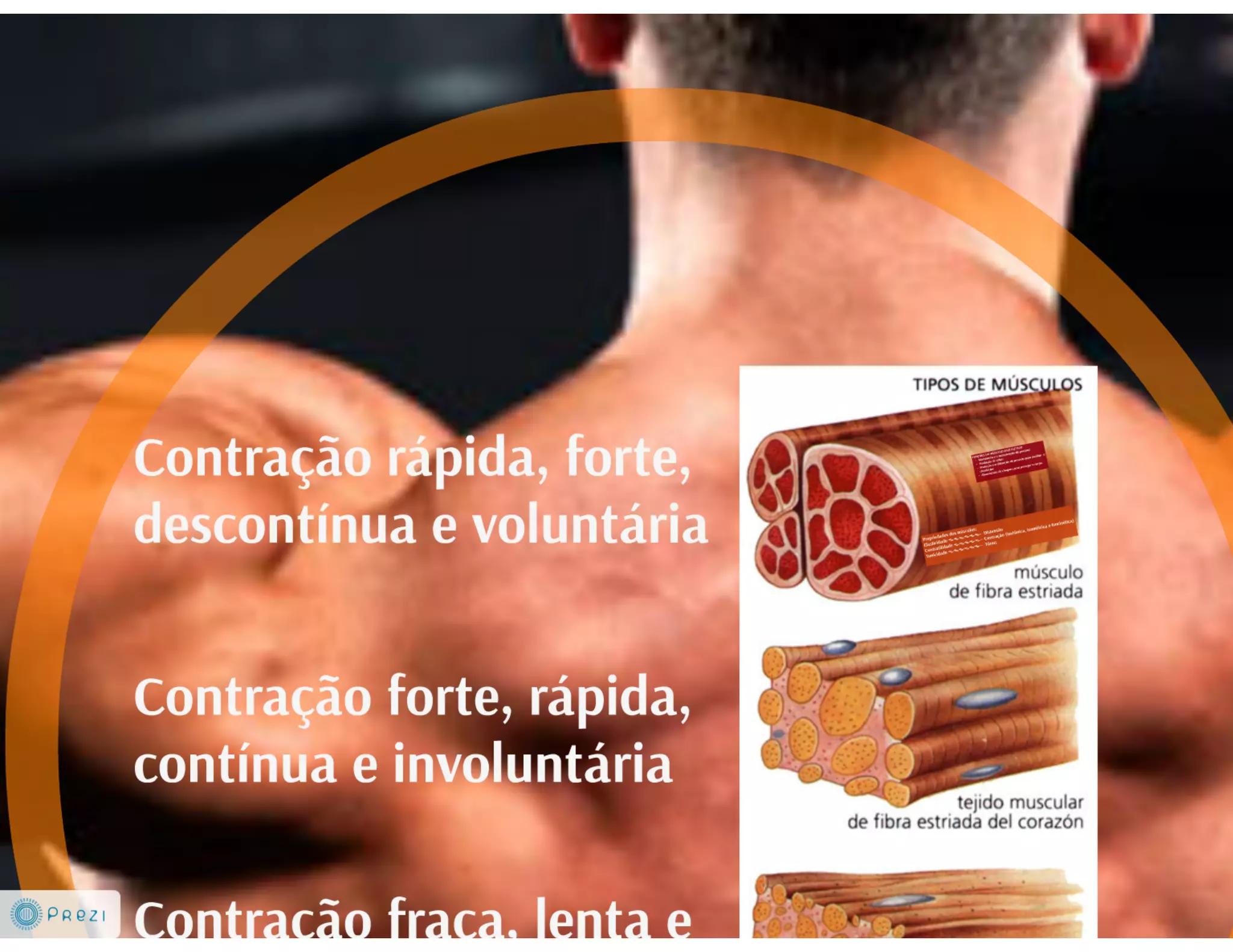 Fisiologia Neuromuscular, Contração Muscular e Bioenergética do ...
