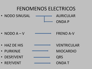 Fisiologia cardiaca | PPTX