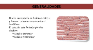 Fisiologia cardiaca | PPTX