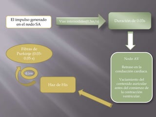 Fisiologia cardiaca | PPTX