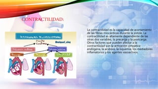 Fisiologia cardiaca | PPTX