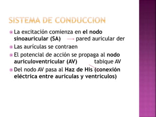 Fisiologia cardiaca | PPTX