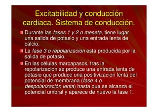 Fisiologia cardiaca | PDF