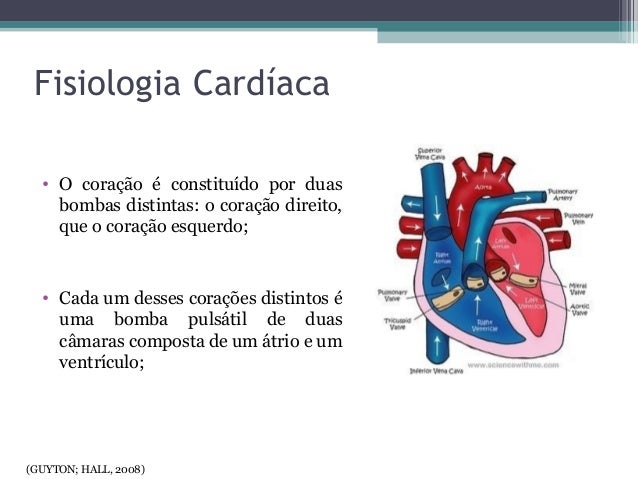 Fisiologia cardiaca 2015