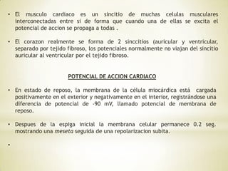 FISIOLOGIA CARDIACA | PDF