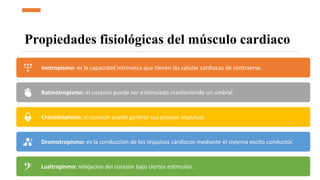 FISIOLOGIA CARDIACA Quissy.pptx