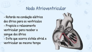 Fisiologia cardiovascular e eletrofisiologia | PPTX