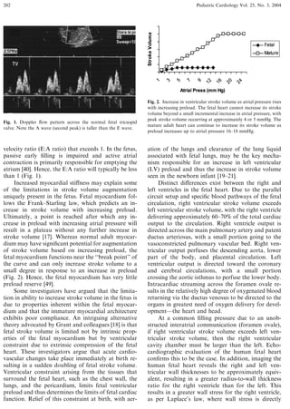 Fisiologia cardiov fetal | PDF