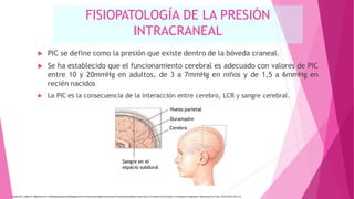 FISIOLOGÍA CEREBRAL.pdf