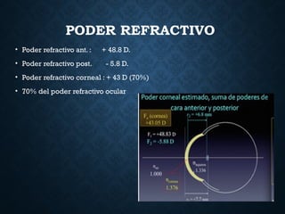 FISIOLOGIA CORNEAL EN EL CUERPO HUMANO 1 | PPTX