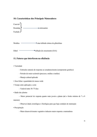 ,Fisiologia da cana de-açucar | PDF