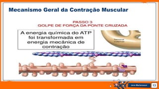 Fisiologia da Contração Muscular 1.pptx
