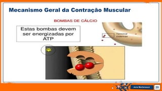 Fisiologia da Contração Muscular 1.pptx