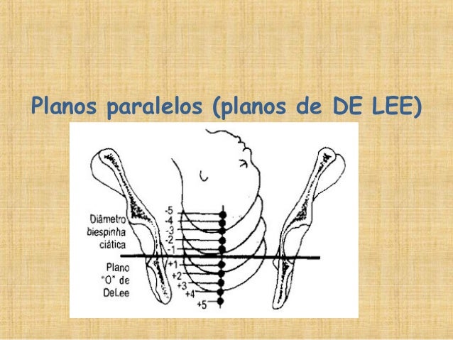 Fisiologia da gestação preparatório 2016