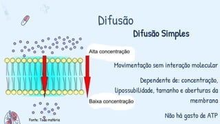 Fisiologia das membranas e contratilidade muscular | PPTX