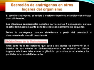 Fisiologia de aparato masculino | PPTX