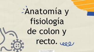 Fisiologia de colon, recto y ano medicina | PPTX