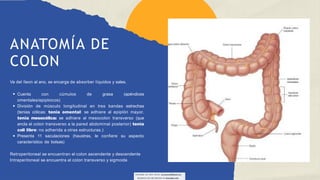 Fisiologia de colon, recto y ano medicina | PPTX