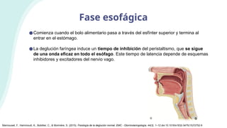 Fisiología de esofago.................. | PPTX