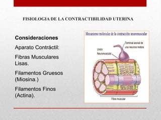 FISIOLOGIA DE LA CONTRACCIÓN.ppt